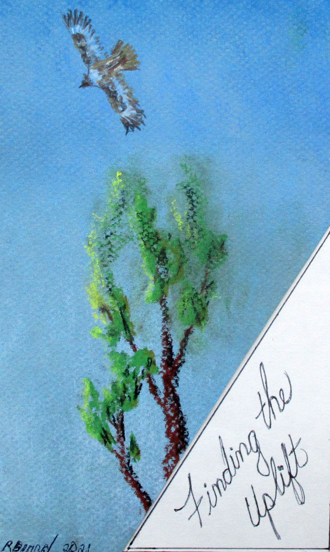 Reaching for the Most — The Parable of the Hawk – Christworks Ministries